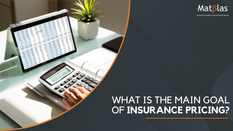 What Is the Main Goal of Insurance Pricing? | MatBlas