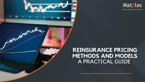 Reinsurance Pricing Methods and Models: A Practical Guide | MatBlas